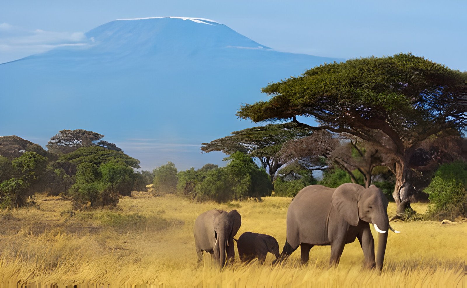 Africa’s Best Hiking Destinations for 2026: Explore Nature's Beauty